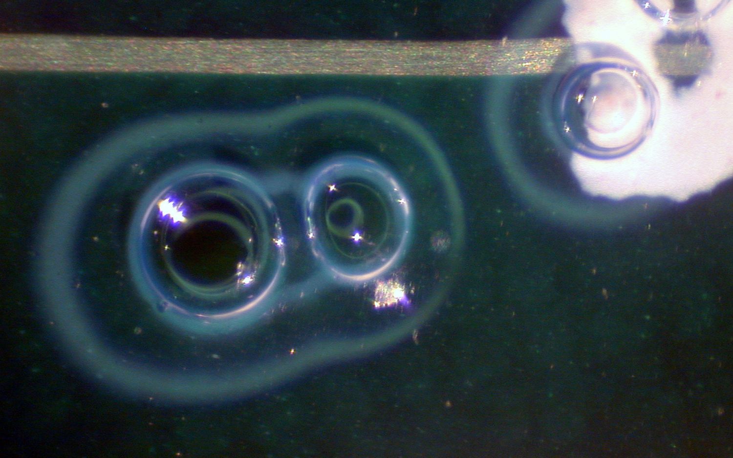 Common Conformal Coating Issues | Invention House